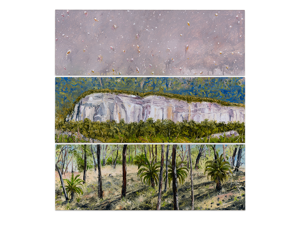 Artwork Documentation – The Photography Zone, Maleny